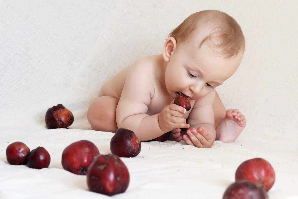 Toddler Ate Apple Seeds Should I Be Concerned toddler-ate-apple-seeds-should-i-be-concerned